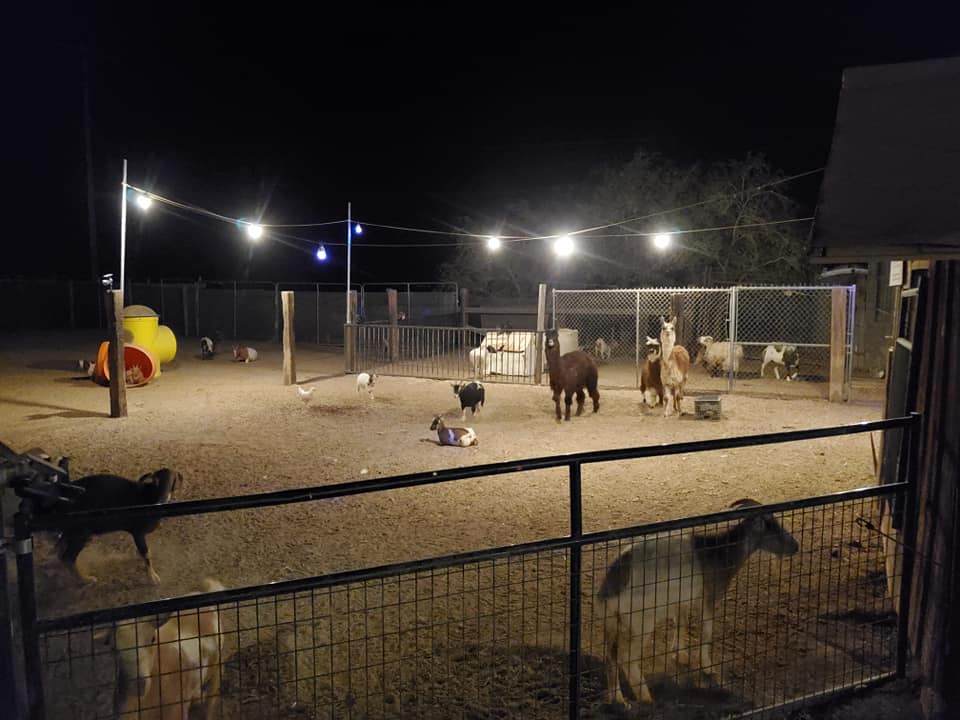 119008716_10217694556499649_7785140481356790327_n-1 – Barber Family Farm