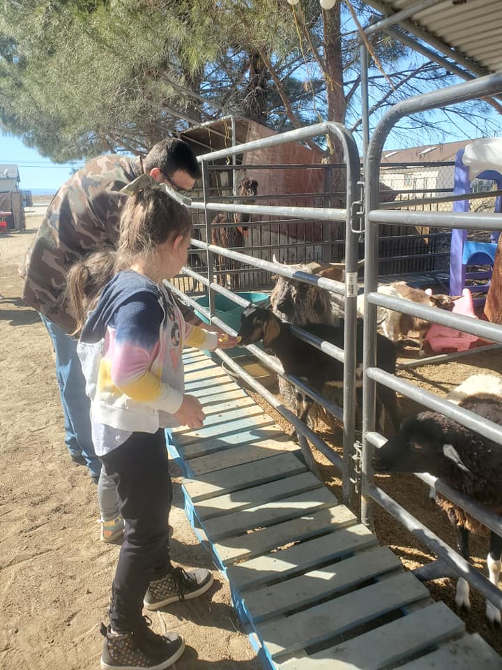 Rent the Farm – Barber Family Farm